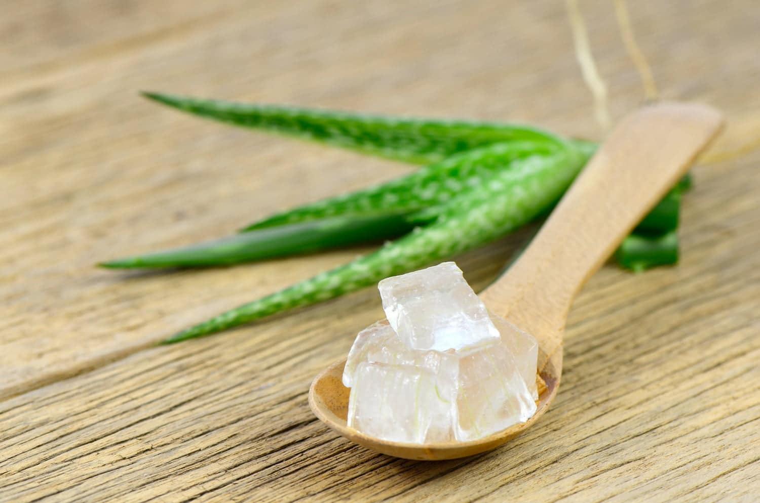 Beta-sitosterol del aloe vera: el compuesto que podría inspirar ...