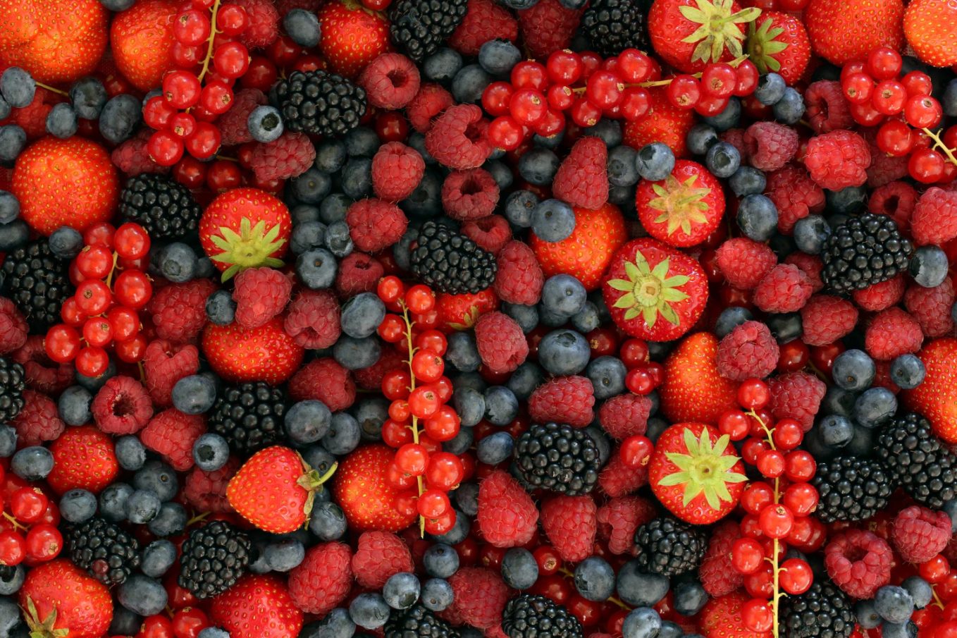 6 extraordinarios de las bayas beneficios para la salud